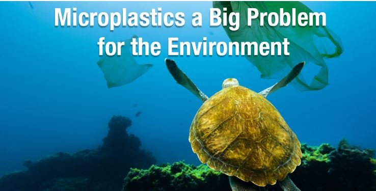 Microplastics a Big Problem!